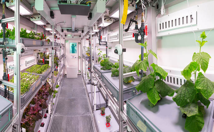 Controlled Environments for Plant Cultivation in Space | Conviron