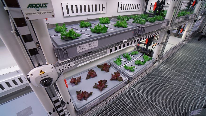Controlled Environments for Plant Cultivation in Space | Conviron