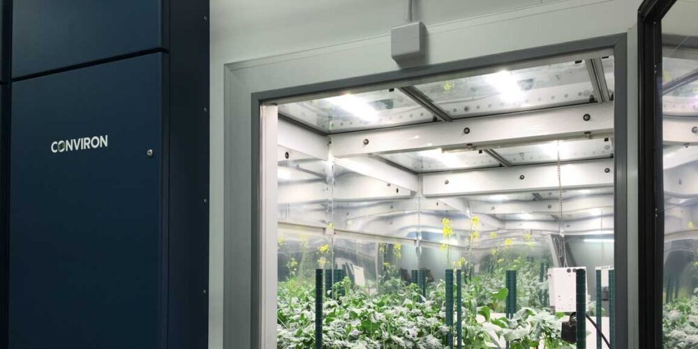 Plant Growth Chamber with Four Channel LEDs for Tissue Culture Research ...